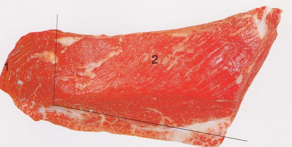 牛肉のアウトサイドフラットとは？ | 創業100年牛肉博士